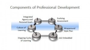 The Components of an Effective Professional Development Process – Vroon VDB