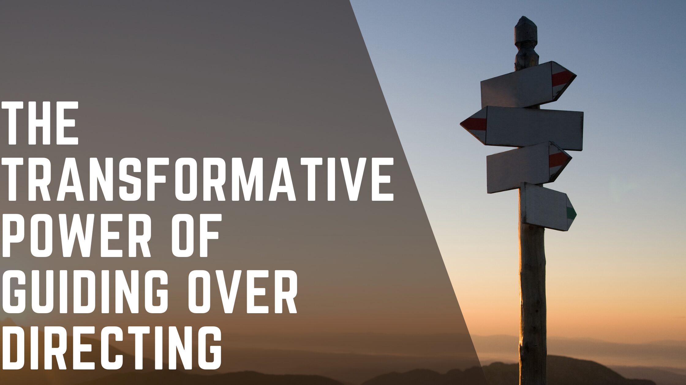 The Transformative Power of Guiding Over Directing – Vroon VDB